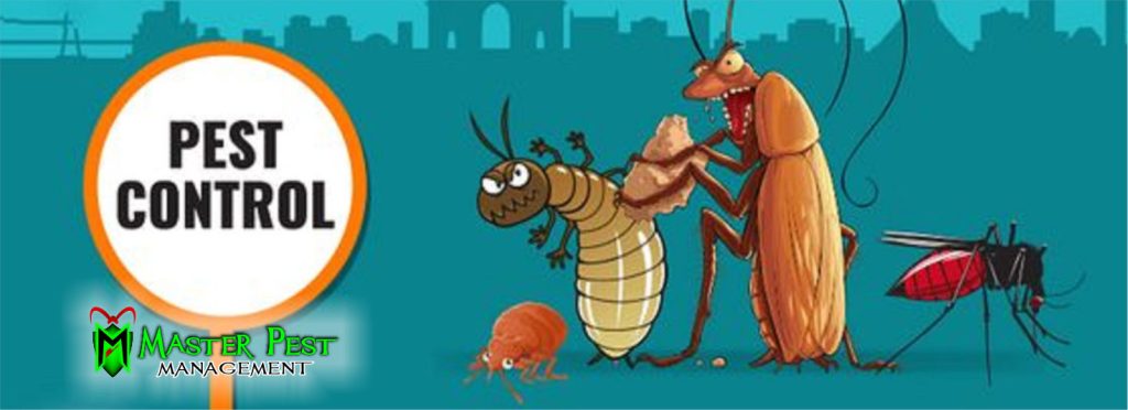 Master Deemak Control - Consistent Elimination for Termite (Demak ...