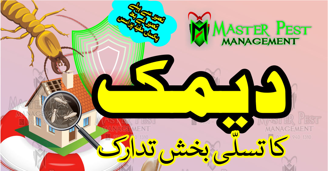 deemak control in lahore urdu دیمک کا خاتمہ termite proofing