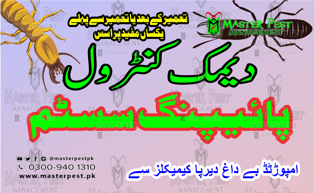 anti termite Reticulation system or Piping System lahore punjab