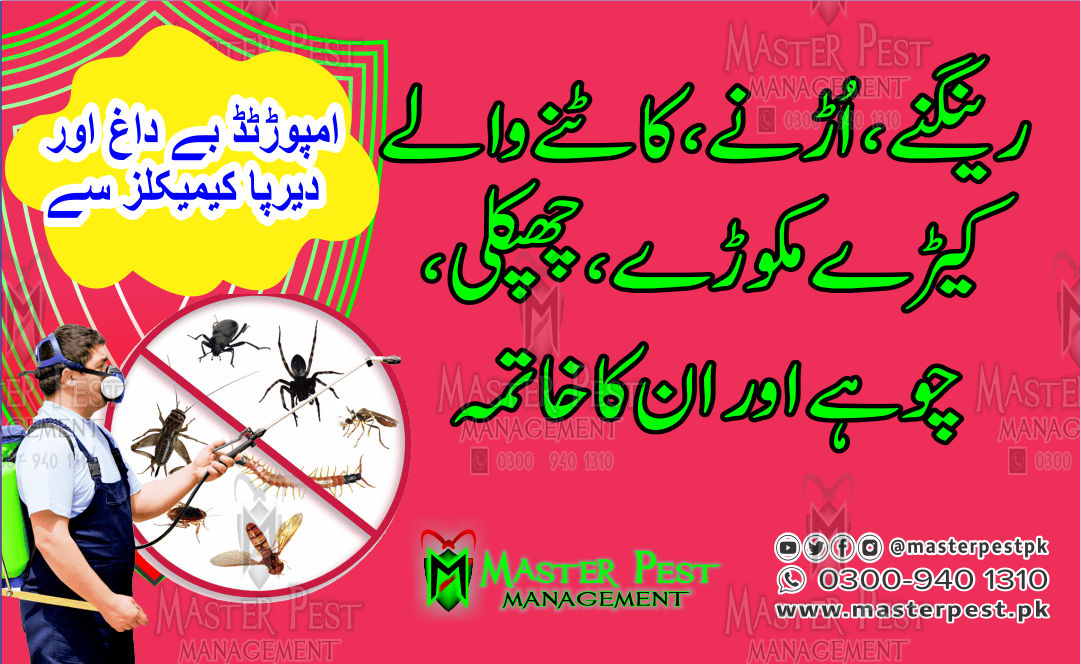flies, Bedbugs, lizards, rodents, ants, Centipedes control lahore